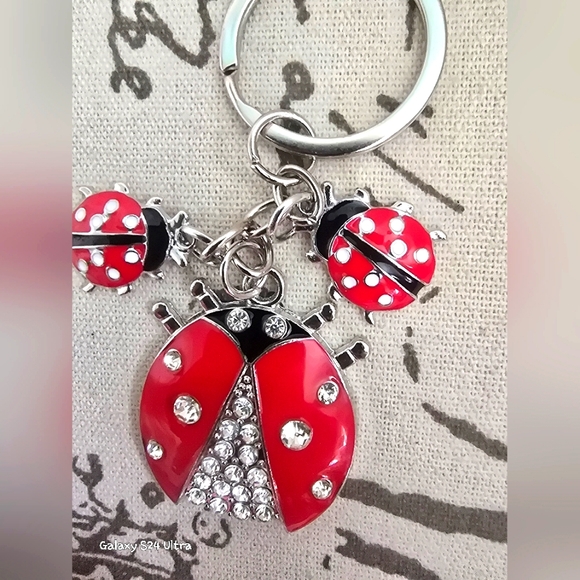 Accessories | Lady Bug Bag Charmkeychain New | Poshmark